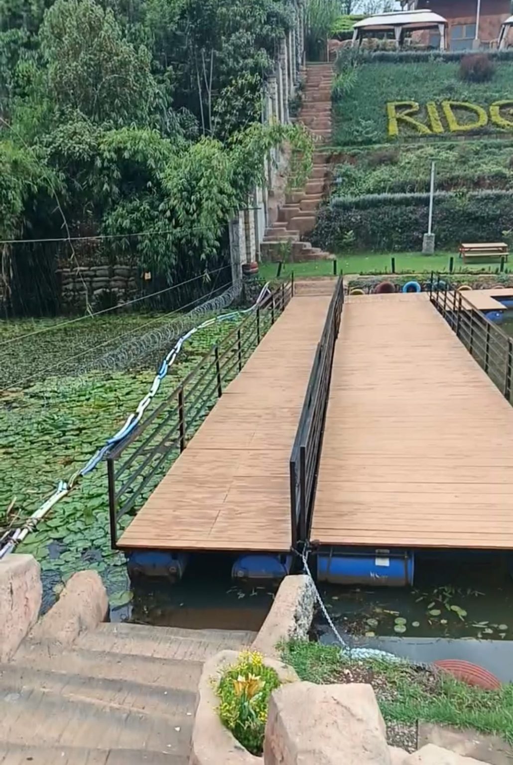 Ridge Cabin Resort – Wooden Cabins, Tea Fields and Quiet Views in ...